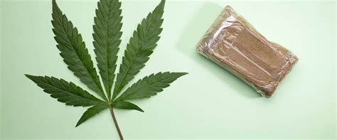 Kief Vs Hash Differences Uses And Benefits Explained