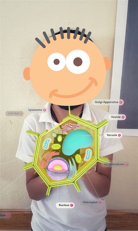El Uso De Merge Cube Como Herramienta Para La Enseñanza De Las Ciencias
