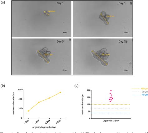Figure 2 From A Strainer Based Platform For The Collection And