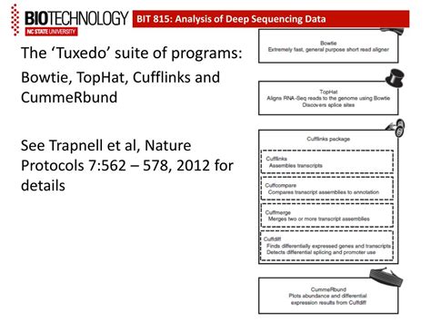 Ppt Transcriptome Analysis Powerpoint Presentation Free Download Id 2254350