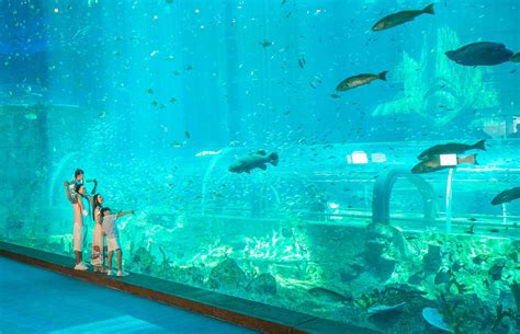 Vinwonders Phu Quoc Map Your Key To Unlock Adventure And Fun Vinwonders