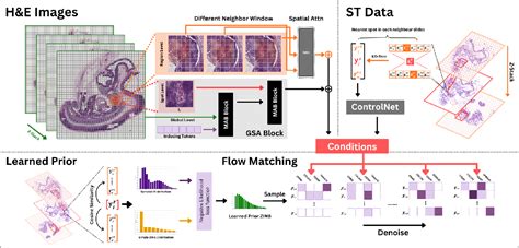 Pdf 3d Guided Scalable Flow Matching For Generating Volumetric Tissue