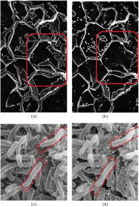 the proposed method vs watershed segmentation a example 1 segmented