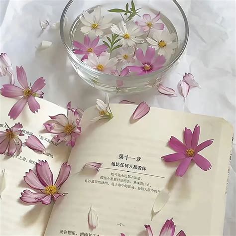 5月唯美高级质感的花背景图片 2 配图网