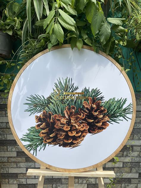 Ng Khung Tranh Ti Hc Mn Mu Khung Tranh P Nm 2022