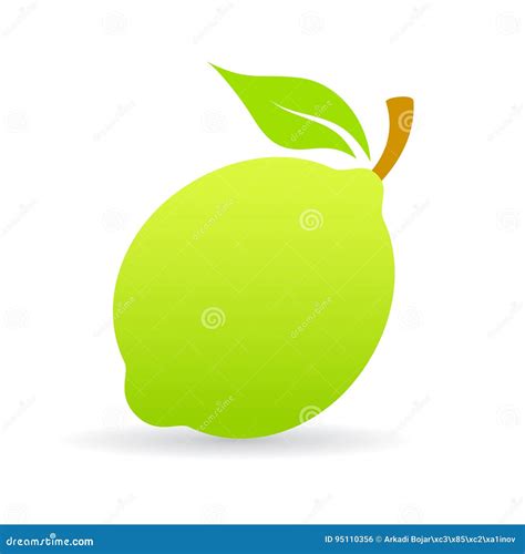 Lime Vector Icon 71448150