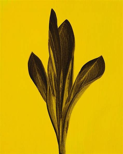 Noga Gallery גלריה נגא Mosh Kashi