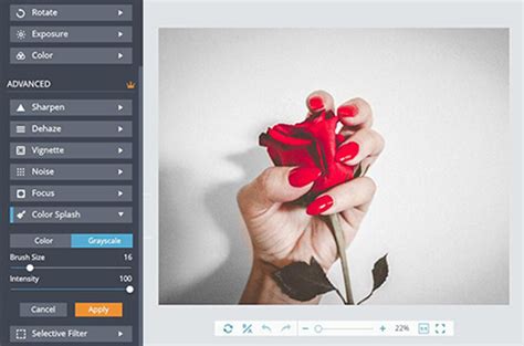 Color Splash Custom Color Splash Effects For Photos Online Fotojet