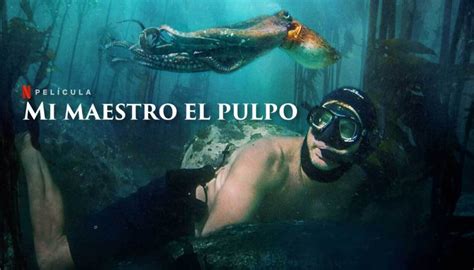 Mi Maestro El Pulpo La Historia De Una Amistad Entre Un Pulpo Y Un