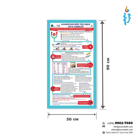Анафилаксийн үед авах арга хэмжээ самбар