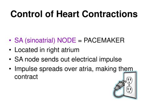 Circulatory System Ppt Download