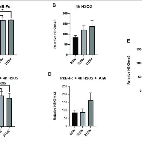 Trkb Fc And 4h H2o2 Significantly Elevate H3k9me3 In 12 Div Neuron