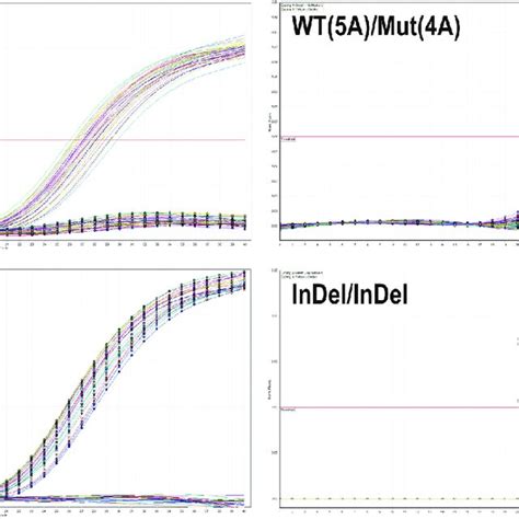 Representative Outputs Of The Allelic Discrimination Real Time Pcr Download Scientific Diagram