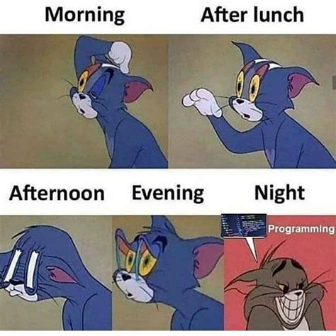 Coder Life Funny Cartoon Memes Really Funny Memes Very Funny Memes