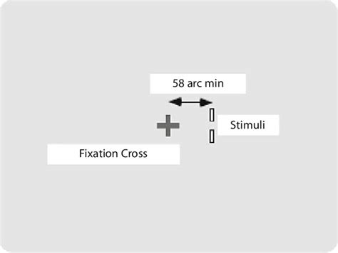 Stimulus Configuration Used In Experiment 2 Two White Stimuli Were