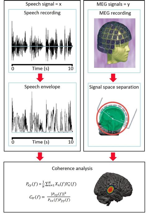 Summary Of The Computed Coherence Analysis Upper Left The Amplitude