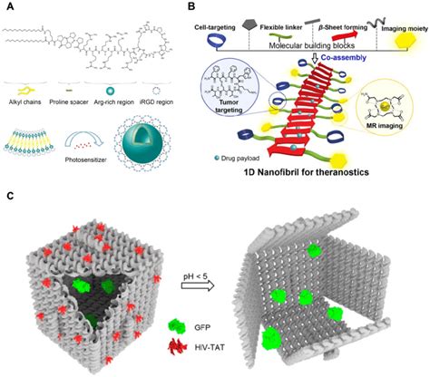 Self Assembling CPP Conjugates For Intracellular Delivery A Download Scientific Diagram