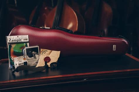 How To Clean Violin Strings Ronald Sachs Violins