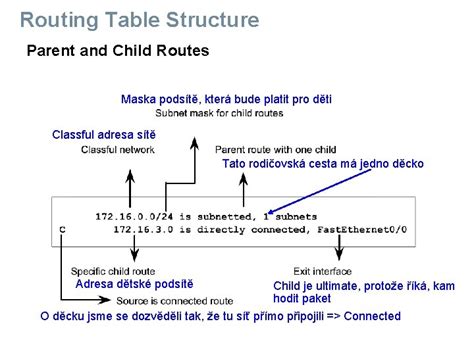 The Routing Table A Closer Look Routing Protocols