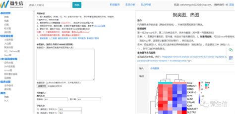在线绘制rna seq，microarray基因表达谱聚类热图heatmap 在线热图 csdn博客