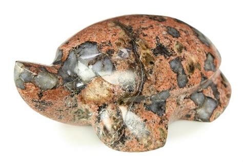 1 95 Carved Red Flower Granite Turtle Arizona 308539 For Sale