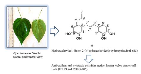 A Phenylpropanoid Dimer From The Leaves Of Piper Betle Natural Product