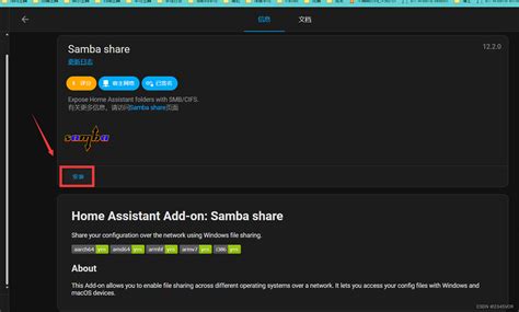 【树莓派安装homeassistant及基本配置】加载项商店 仓库 Csdn博客