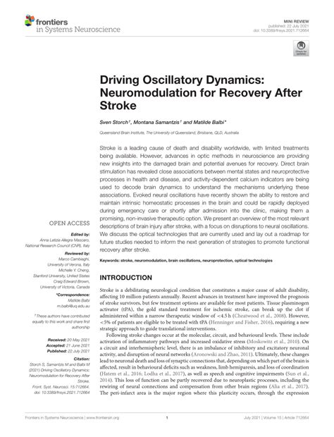 Pdf Driving Oscillatory Dynamics Neuromodulation For Recovery After