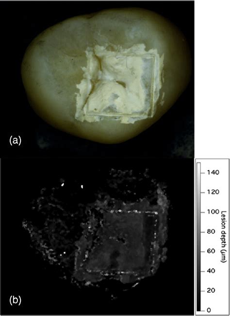 Multispectral Cross Polarization Reflectance Measurements Suggest High
