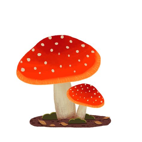 小蘑菇🍄