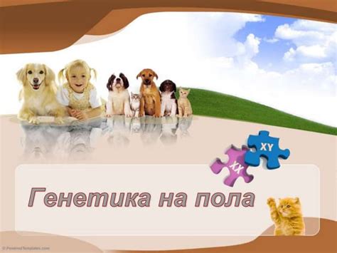 Genetics Of Sex Pptx