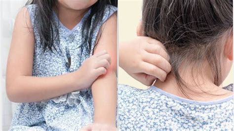 Las Fotos Del Casamiento De Liz Solari En Italia Infobae