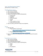 Unit Lab Reproductive System Docx Unit Lab Reproductive System Estimated Time To