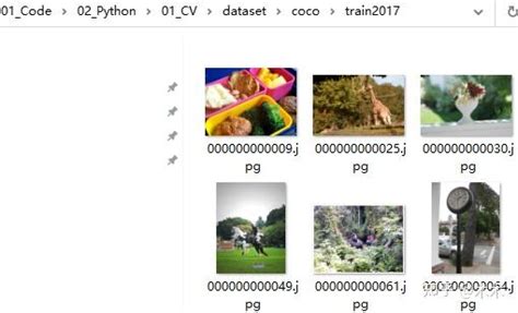 用pytorch一点一点地实现目标检测算法retinanet（7） dataset coco 知乎