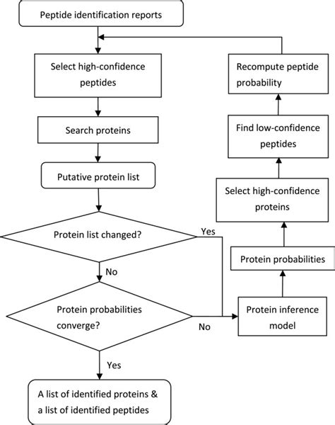 Unified Framework For Ms Based Protein Inference This Framework For