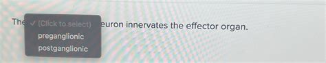Solved The Click To Select ﻿neuron Innervates The