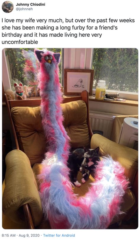 Love Long Furby Wife Guy Know Your Meme