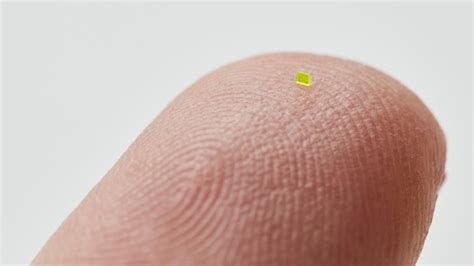 Microscopic Bag Smaller Than Salt Grain Sells For Almost 100000