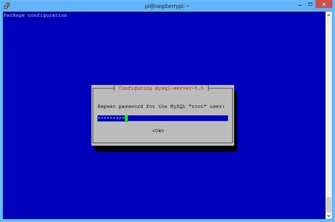 OwnCloud With Raspberry Pi Network Guy