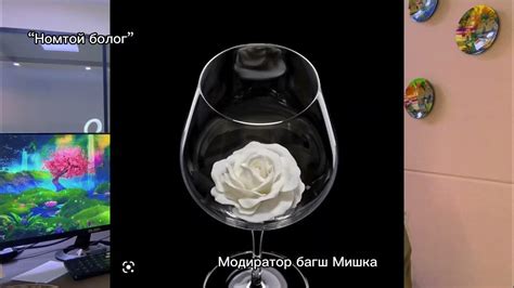 Хайр Сэтгэлийн хамтрагчаа дуудах Youtube