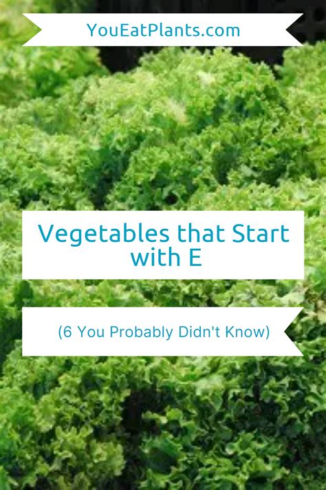 Vegetables That Start With The Letter E