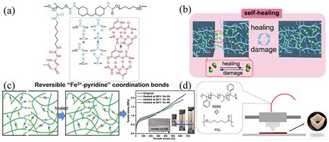 Recent Progress In The Field Of Intrinsic Self Healing Elastomers