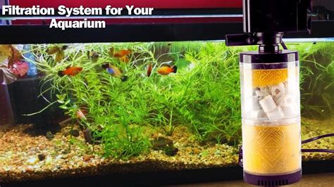 Choosing The Right Filtration System For Your Aquarium Asadazmat Medium