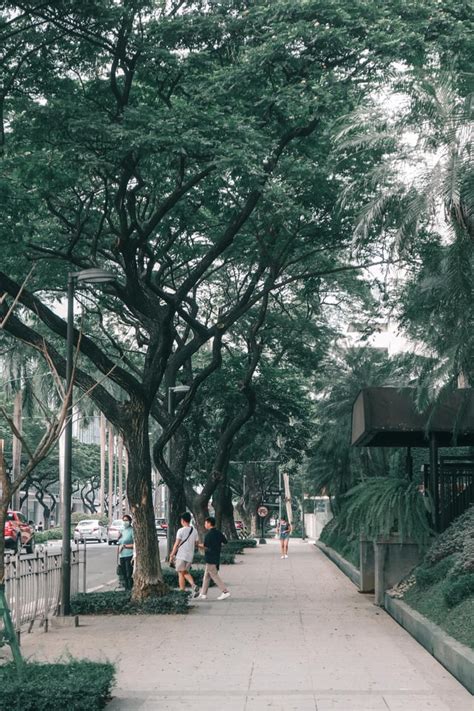 Removing Some Packages Relevators