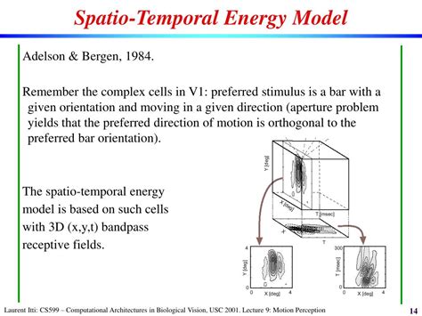 Ppt Computational Architectures In Biological Vision Usc Spring
