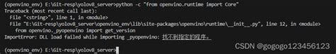 Importerror Dll Load Failed While Importing Pyopenvino 找不到指定的程序dll Load Failed While Import