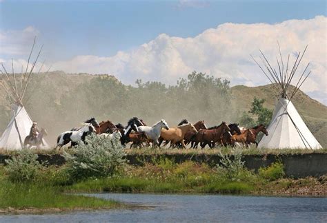 Horses Native America Native American History Native American Peoples