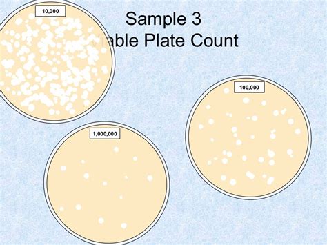 Bacteria Enumeration