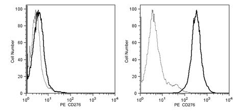 Pe Rat Anti Mouse Cd276