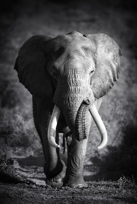 Postgresql Locking With For Update Mode Queries Dba